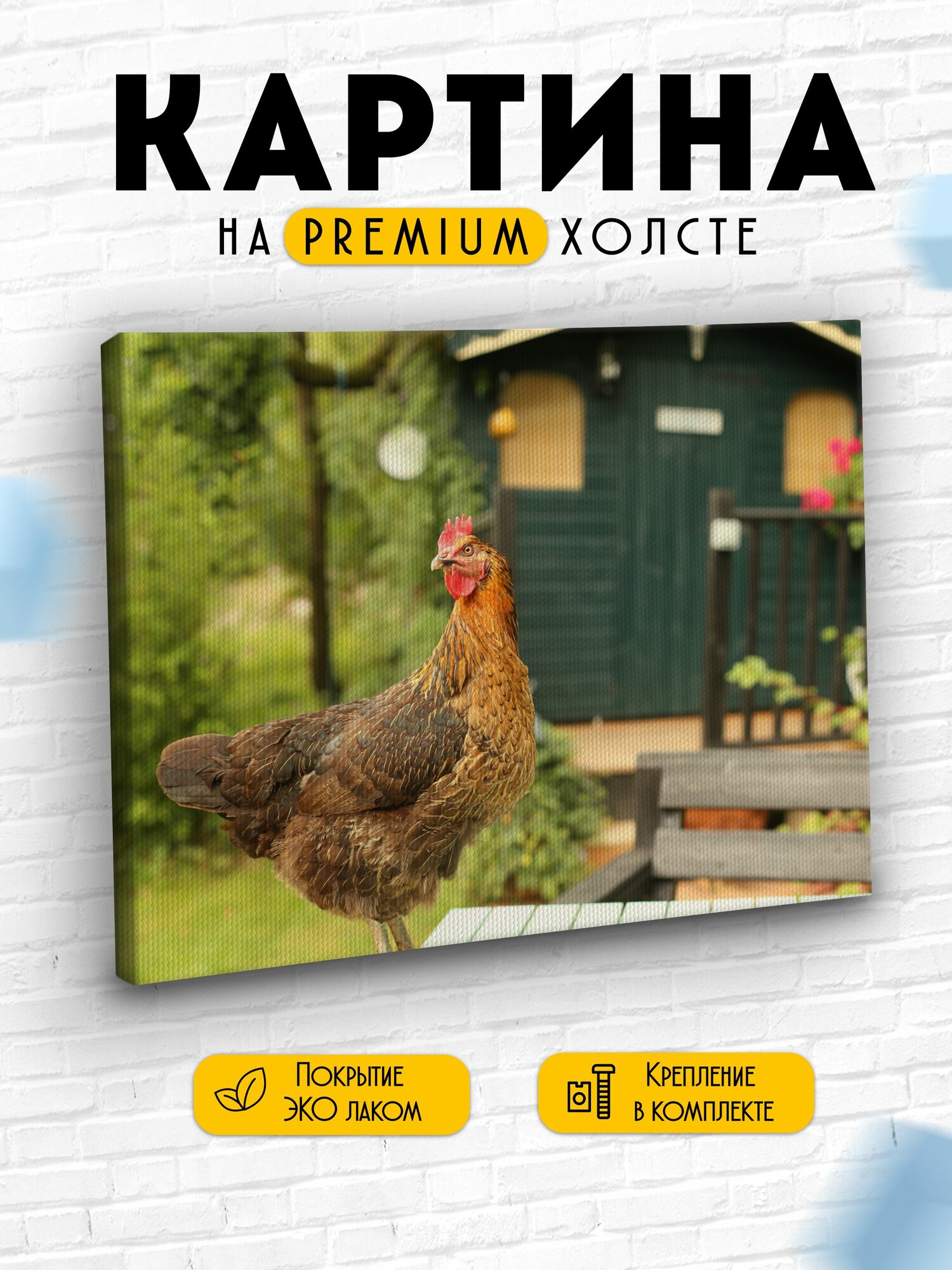 Картина, животные, Петух, картина на холсте