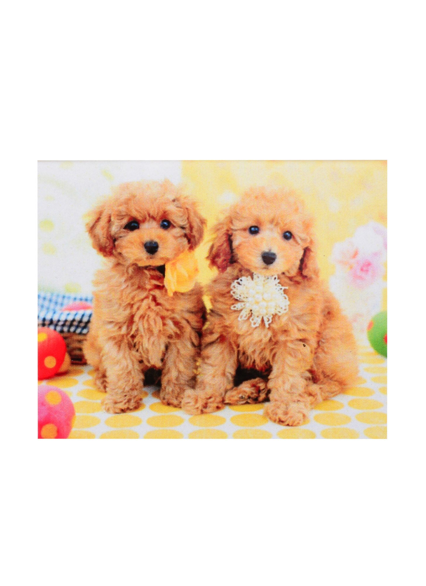 Алмазная мозаика Милые щенки пуделя (FW-003) (30x40см) (класс.) (квадр. стразы) (без подрамника) (полн. зап.) (29цв) (Рыжий Кот) (6+) (коробка)