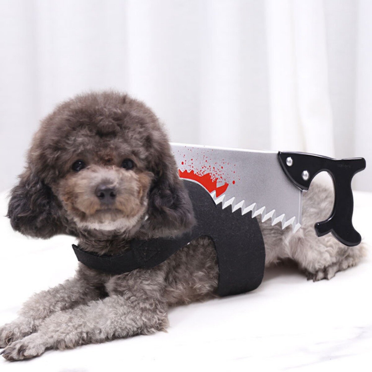 Странные Pet Собака Собака Кошка Одежда Декоративные Pet Одежда Pet Игрушки