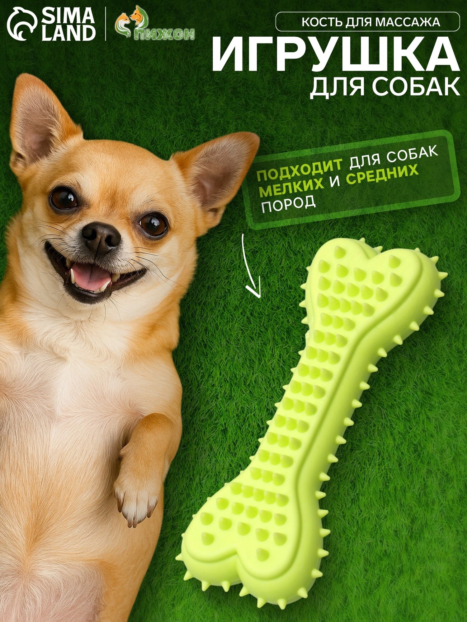 Игрушка жевательная литая "Кость для массажа", 11 х 4 х 2 см, салатовая