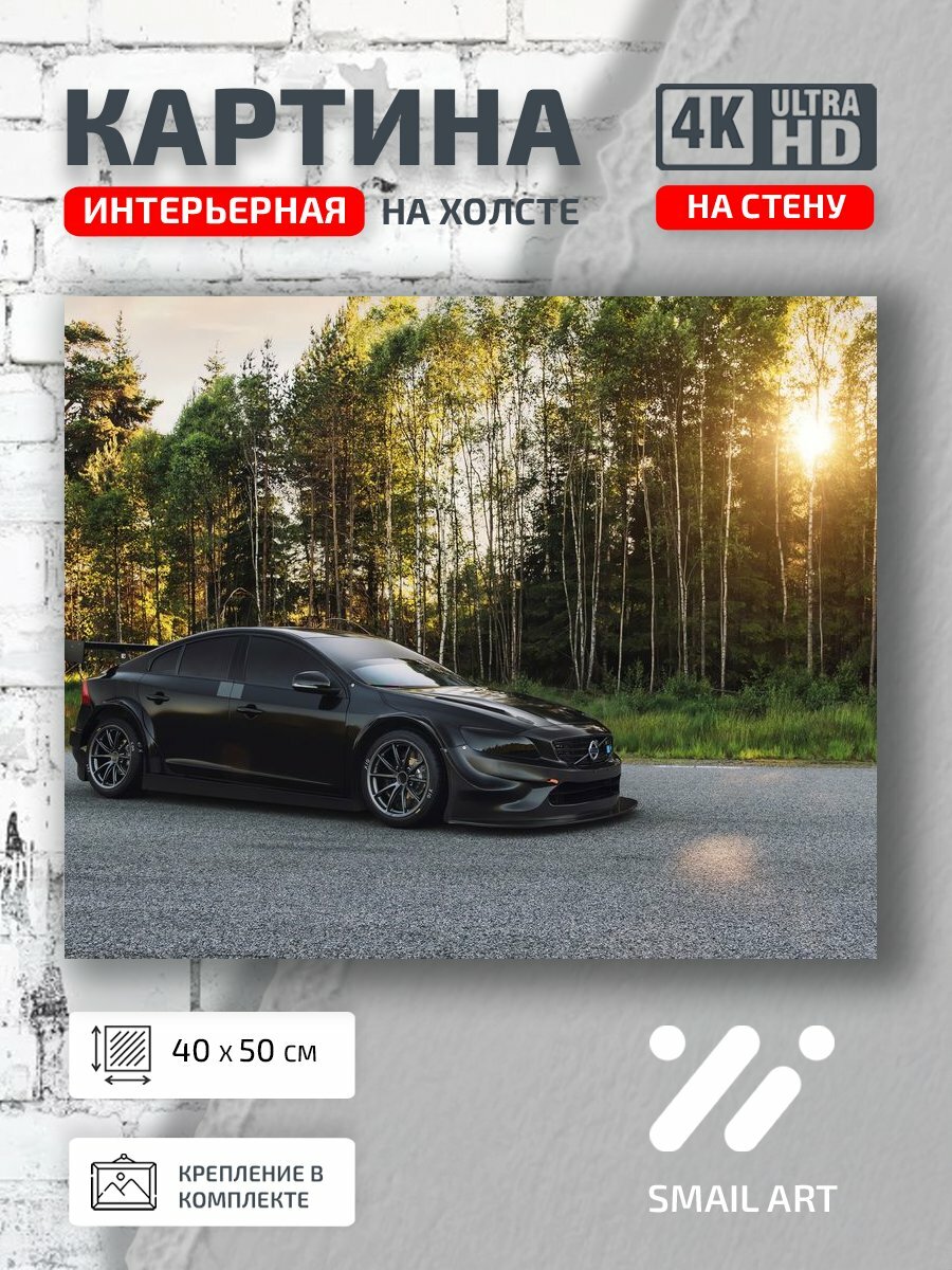 Картина на холсте интерьерная 40 на 50 на стену Дорога volvo для кафе пейзаж интерьер декор