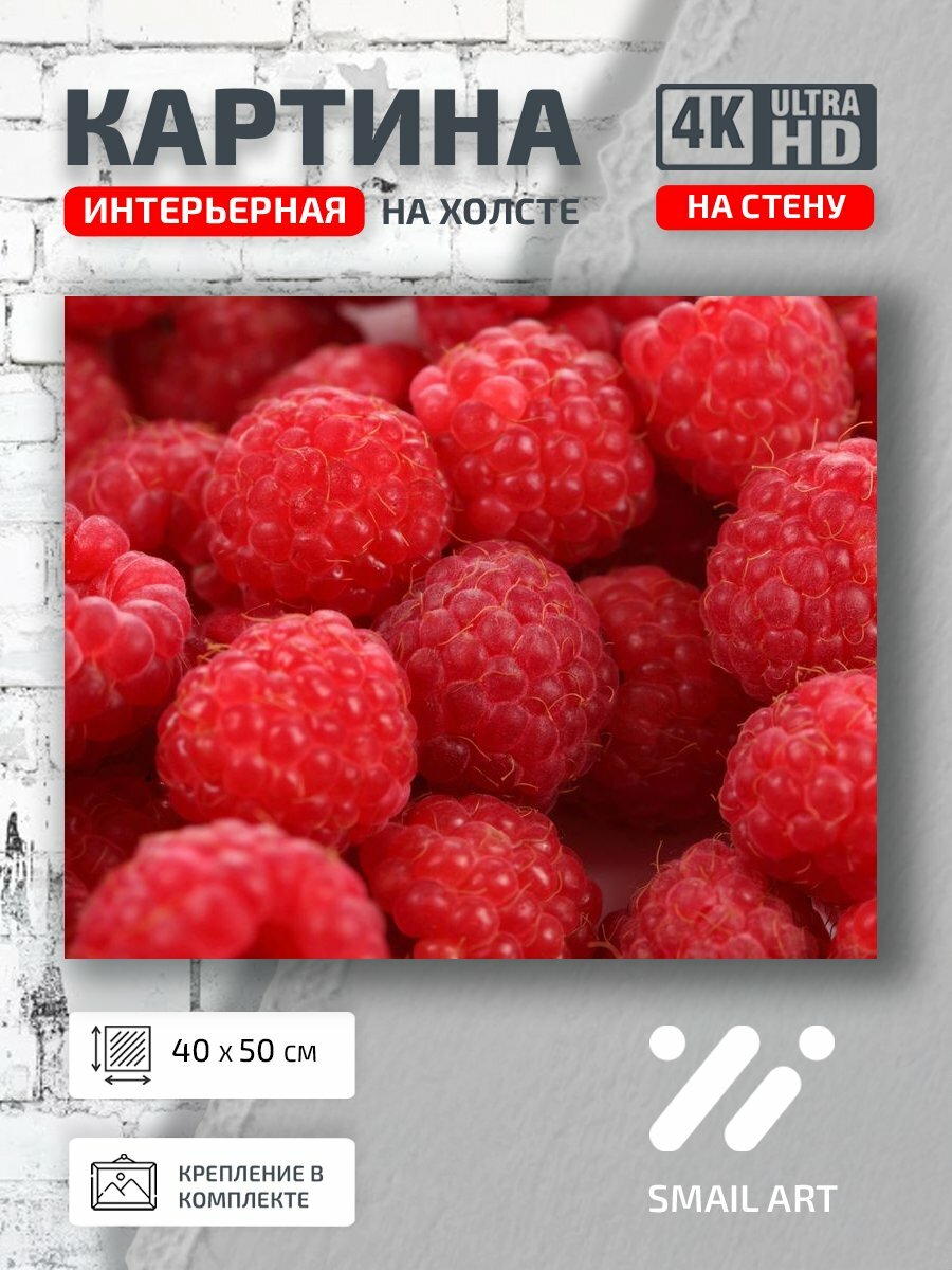 Картина на холсте интерьерная 40 на 50 на стену Ягоды Food для кухни кулинария интерьер