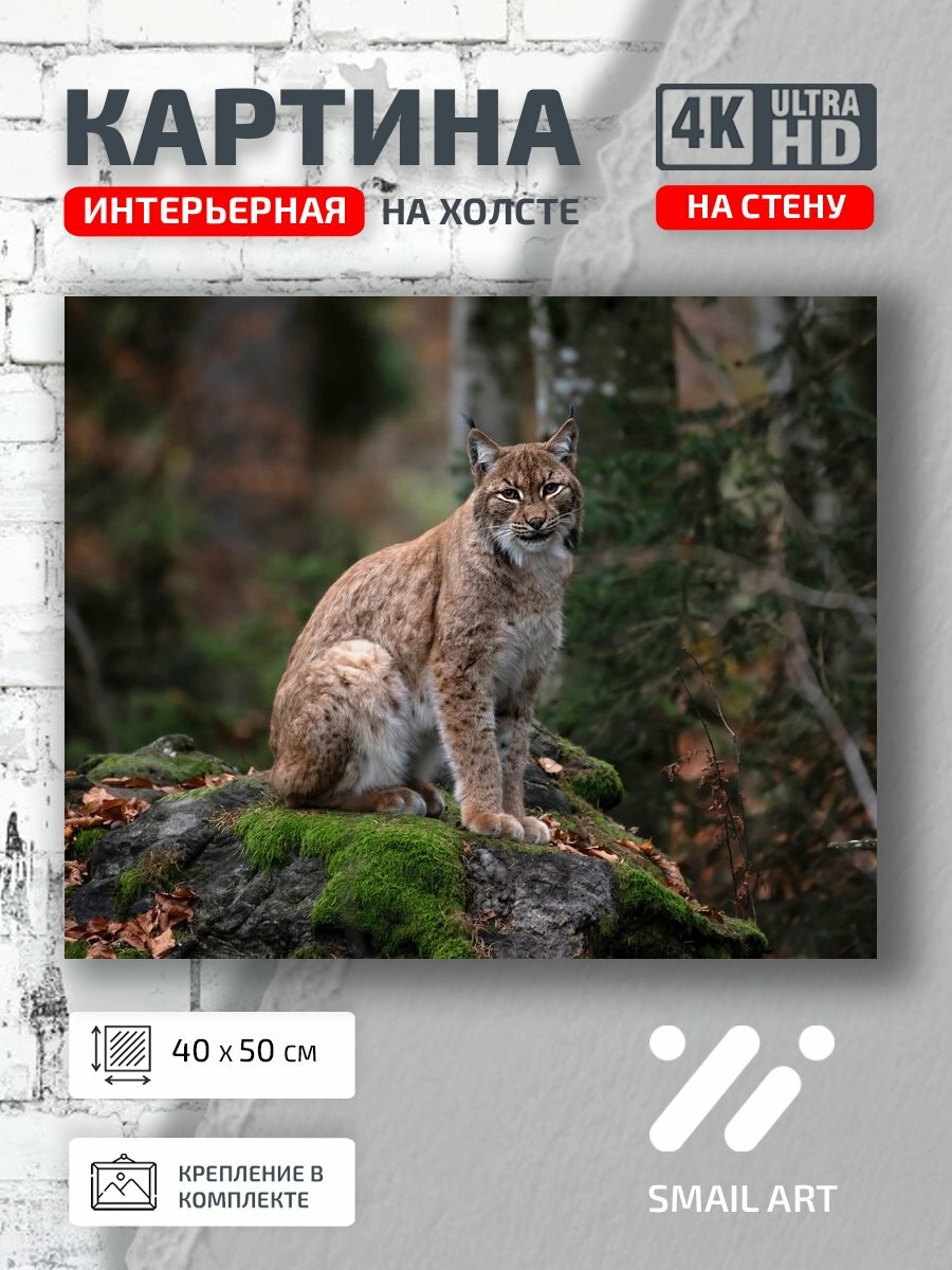 Картина на холсте интерьерная 40 на 50 на стену Сидит Landscape для кафе пейзаж интерьер