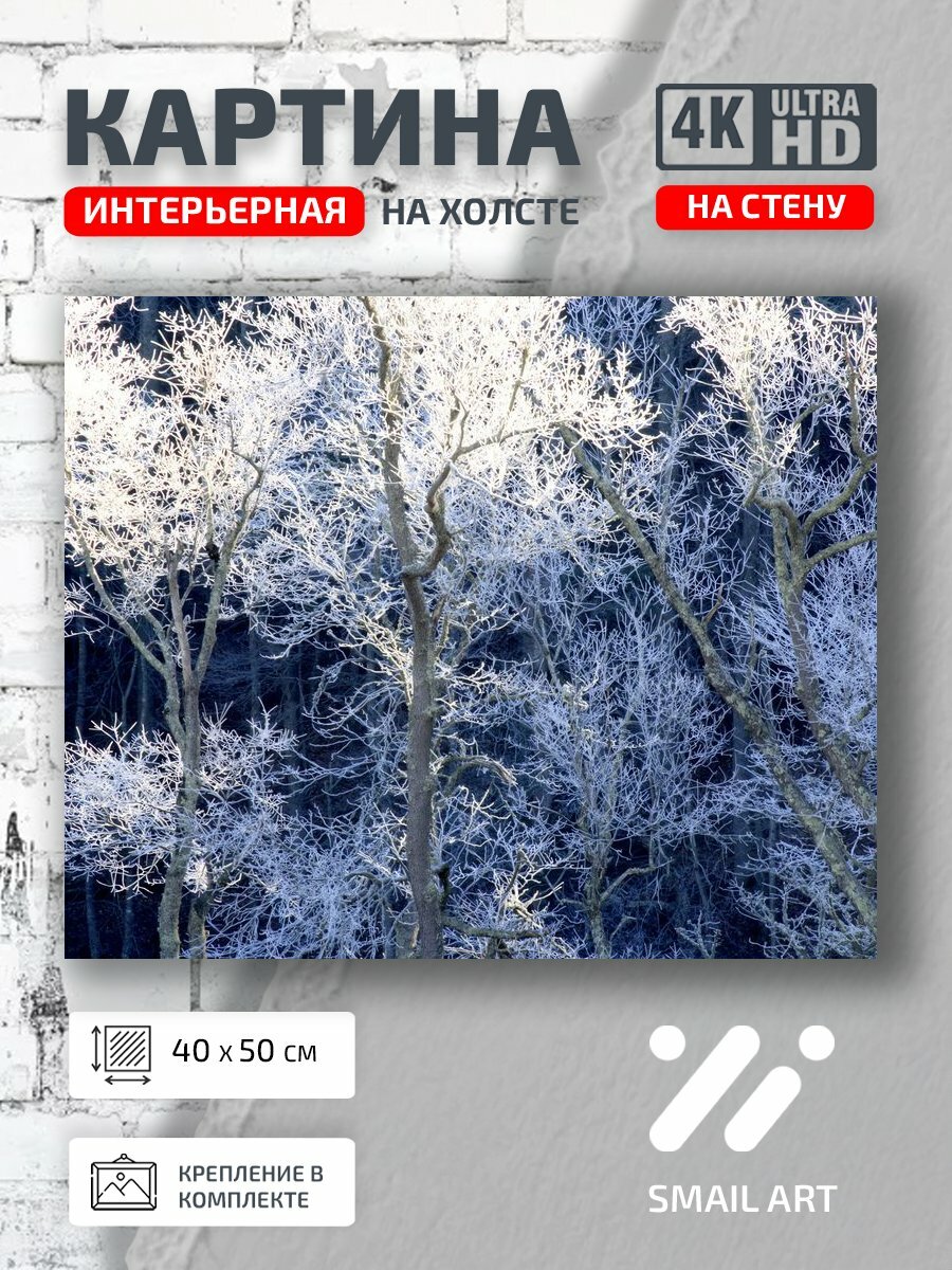 Картина на холсте интерьерная 40 на 50 на стену Снег Landscape для гостиной пейзаж интерьер