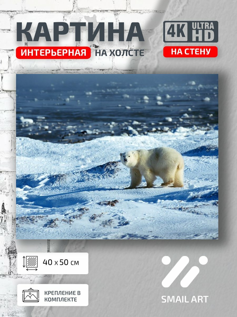 Картина на холсте интерьерная 40 на 50 на стену Льдах Animal для спальни animal style декор