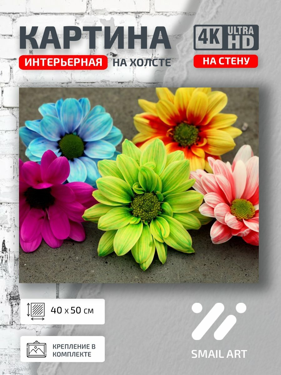 Картина на холсте интерьерная 40 на 50 на стену Ромашки Mood для гостиной атмосфера декор