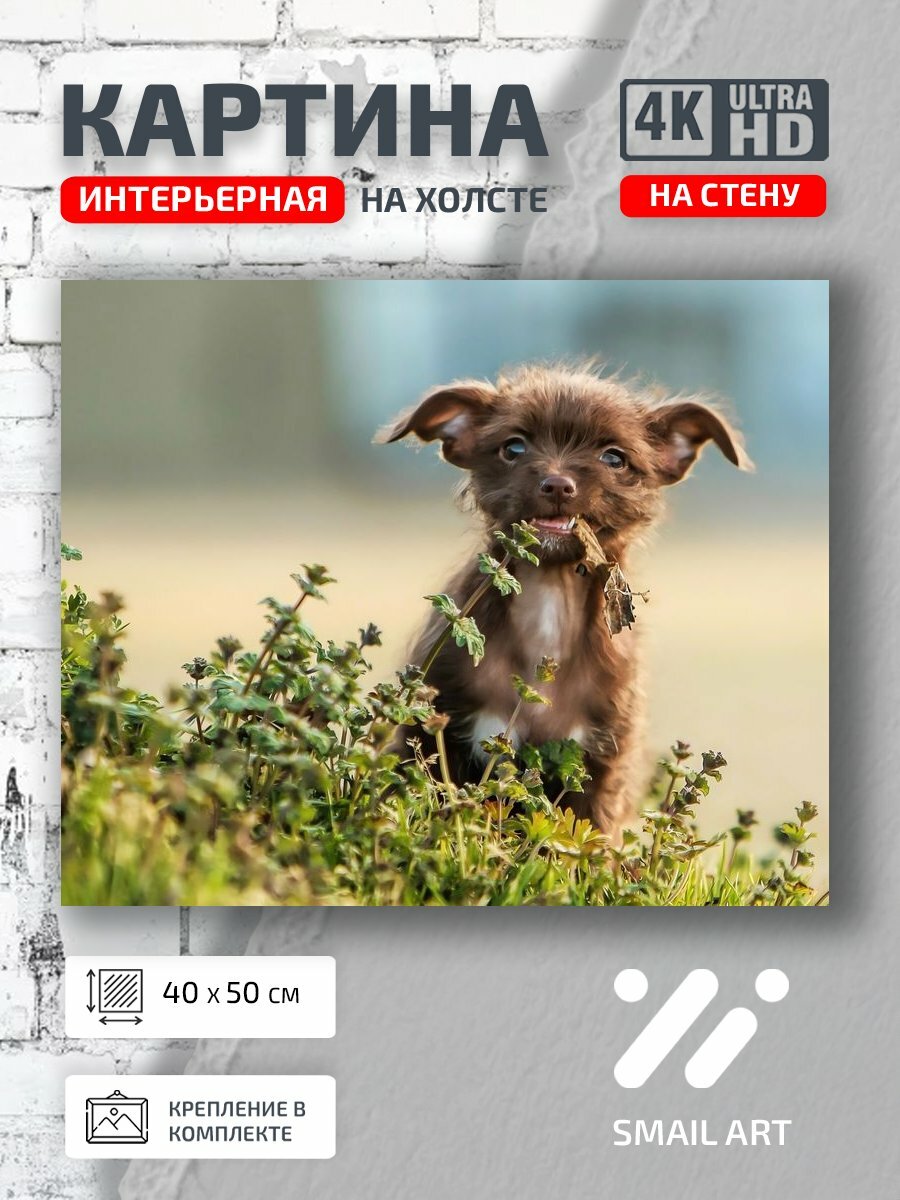 Картина на холсте интерьерная 40 на 50 на стену Маленькая Mood для гостиной атмосфера декор