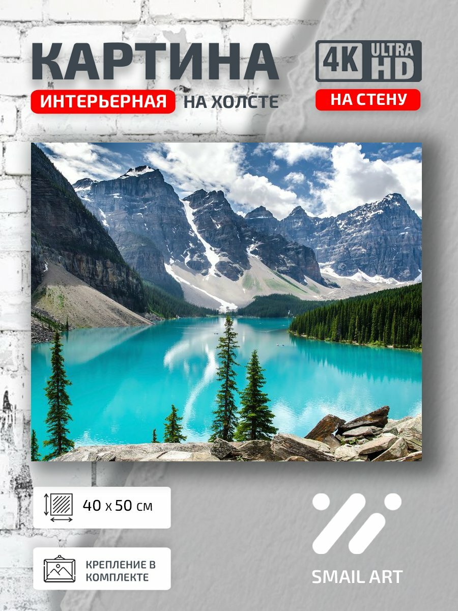 Картина на холсте интерьерная 40 на 50 на стену Лес Landscape для офиса пейзаж интерьер