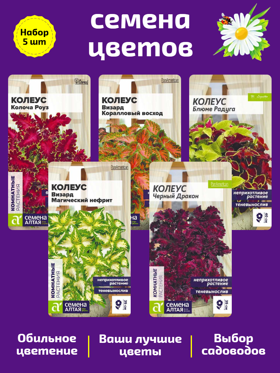 Набор из пяти сортов колеуса: "Магический Нефрит", "Черный Дракон", "Колоча Роуз", "Блюме Радуга" и "Коралловый Восход".