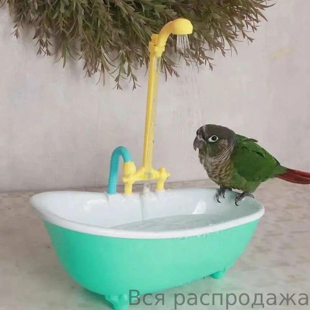 Ванна для попугаев/Ванна для птиц