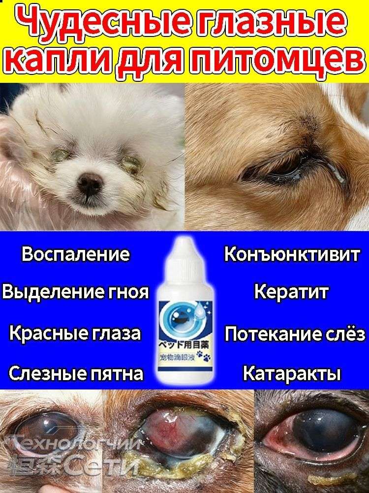 Капли для глаз для собак и кошек от гноя