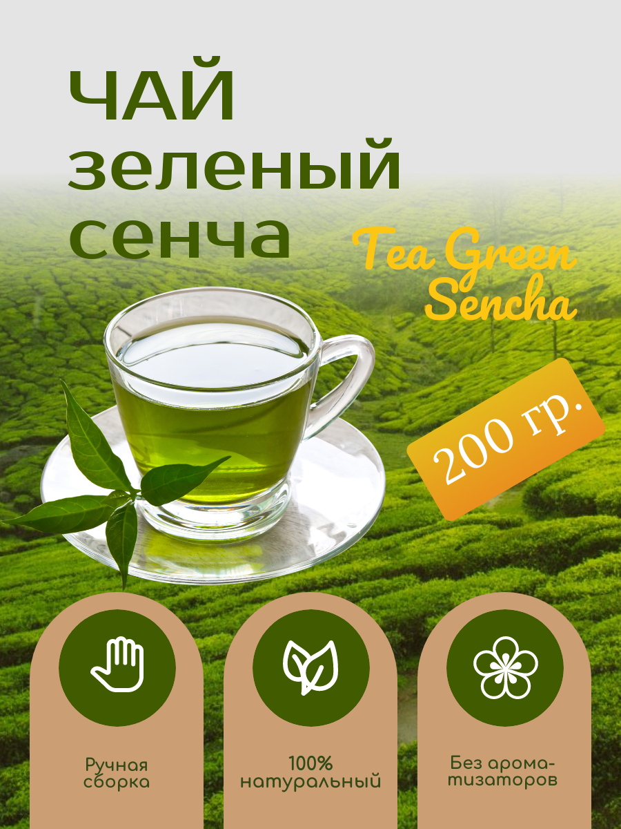 Шантирус Чай зеленый Сенча Tea Green sencha (Китай) 200г