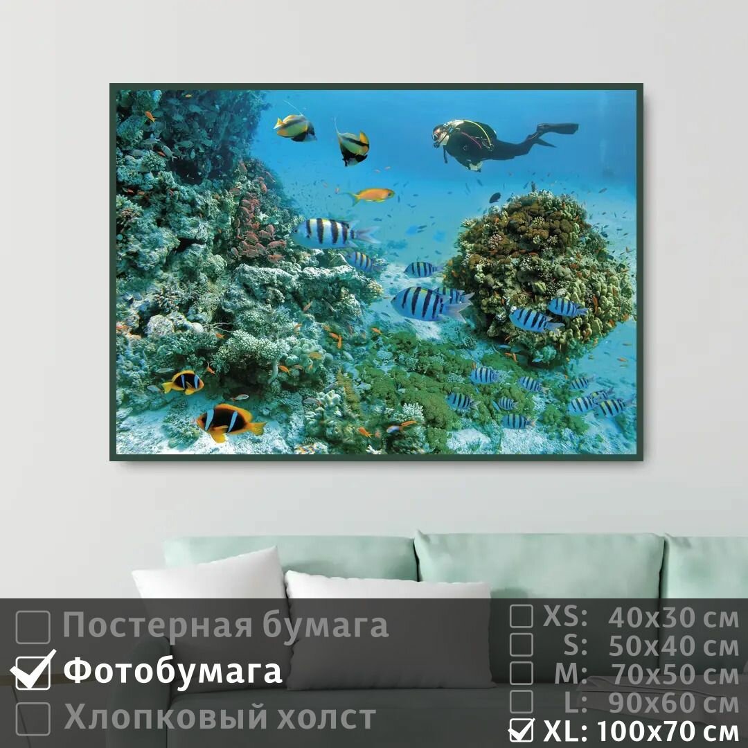 Постер на фотобумаге Морские Рыбы Под Водой С Дайвером 100х70 см ПолиЦентр