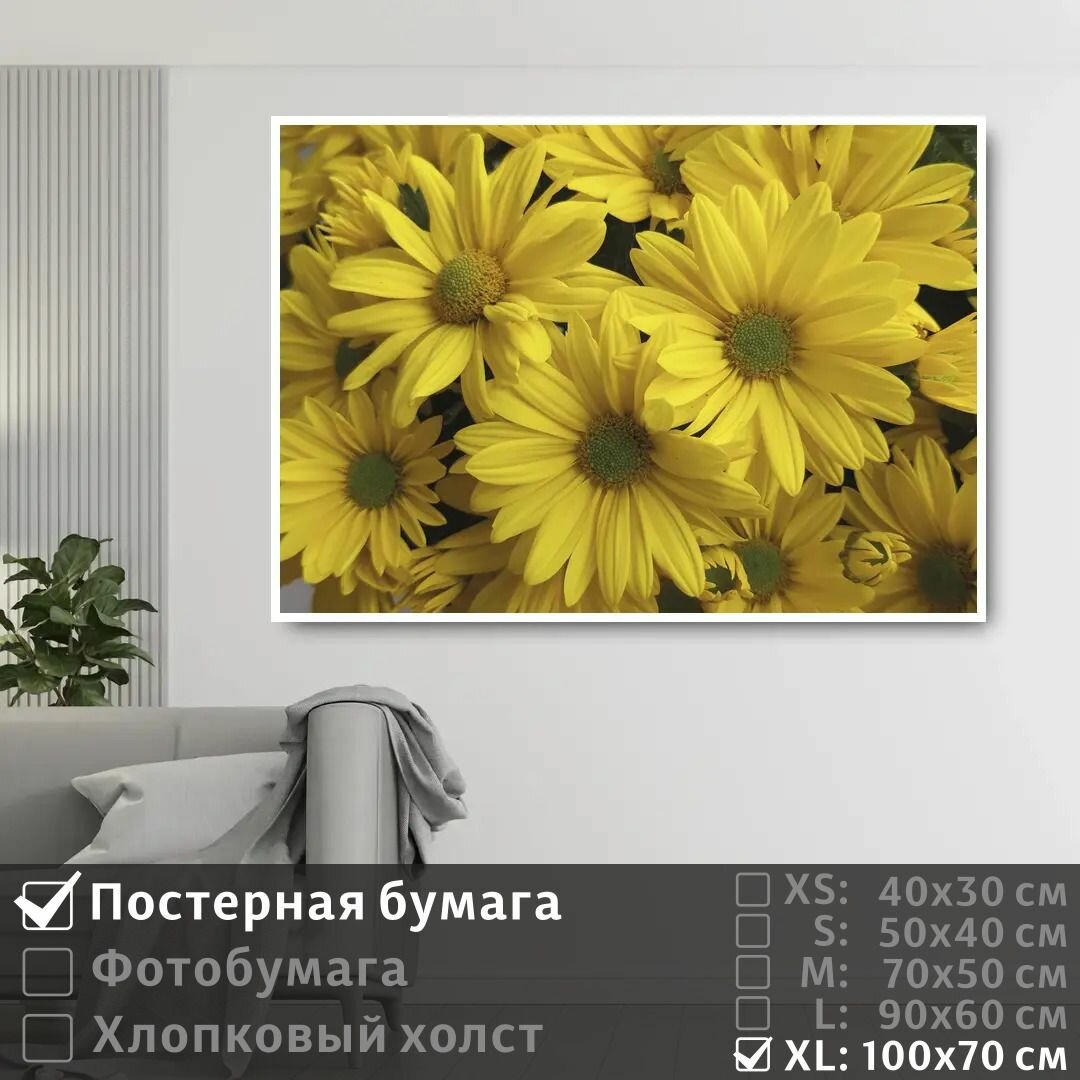 Постер на стену Желтые Цветки Хризантемы 100х70 см ПолиЦентр