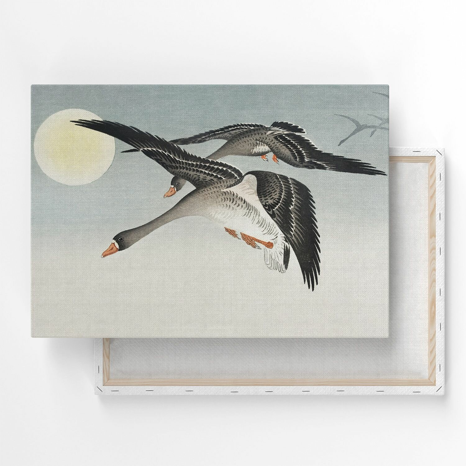 Картина на холсте, репродукция / Косон Охара - Birds at full moon / Размер 40 x 53 см