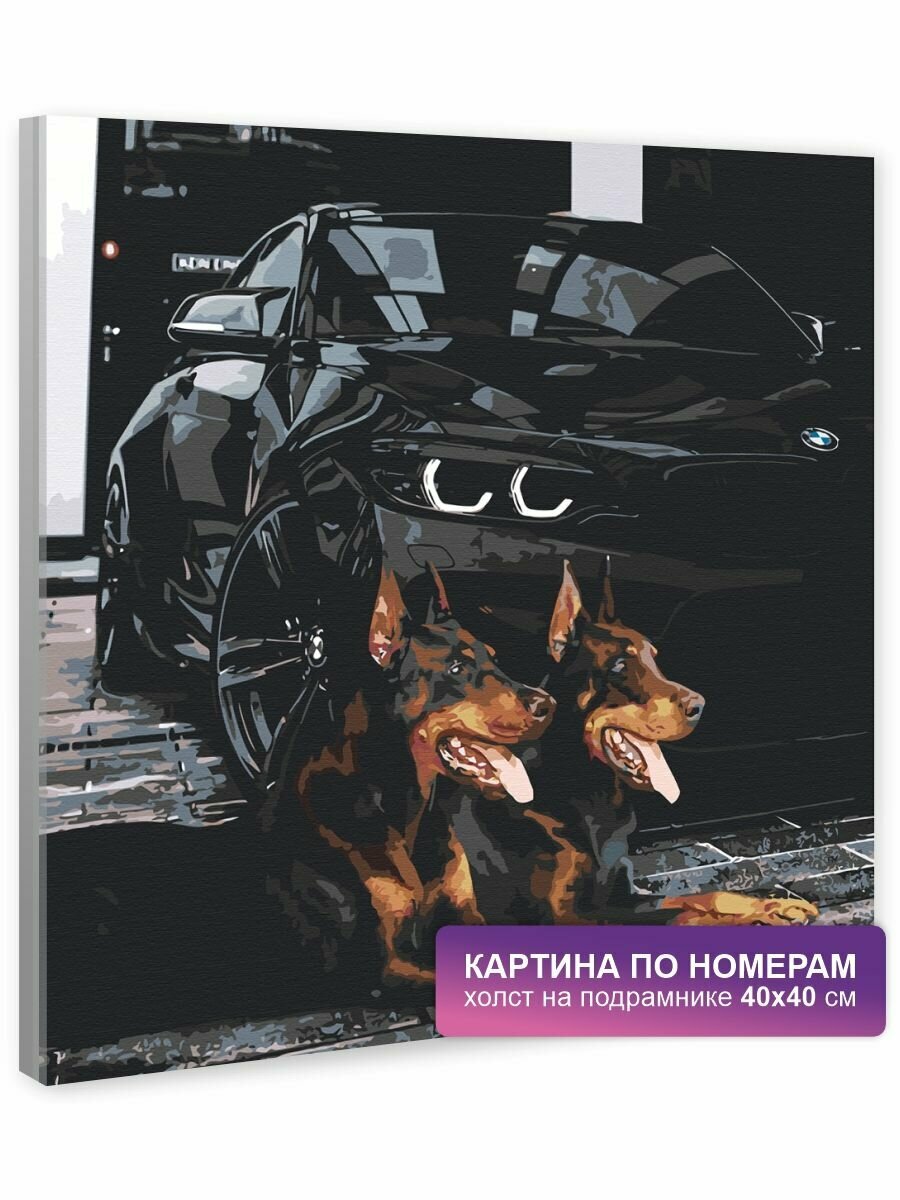 Картина по номерам на холсте с подрамником 40х40 см. Природа, животные, рыбы, птицы. Собаки, щенки. "BMW и доберманы", арт. 3526/