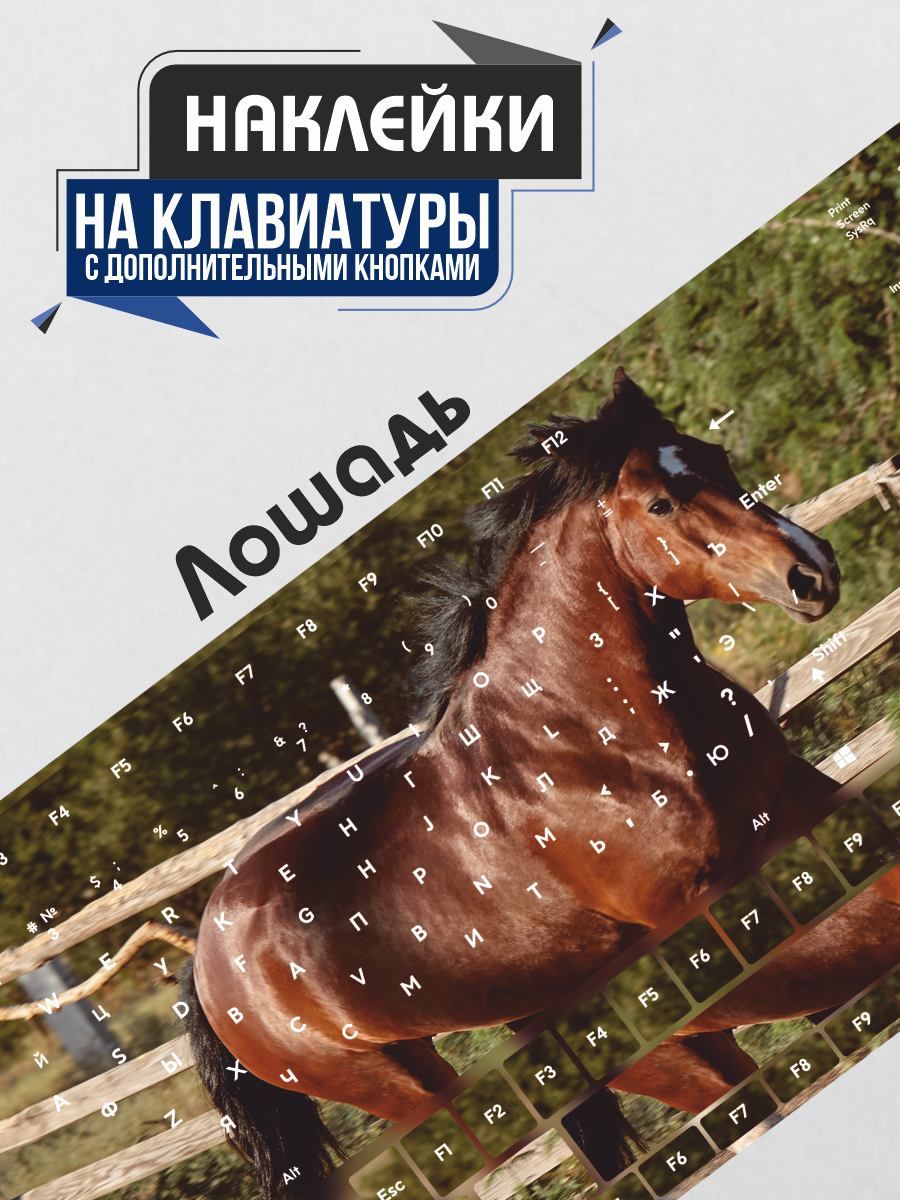 Наклейки на клавиатуру ноутбука Лошадь