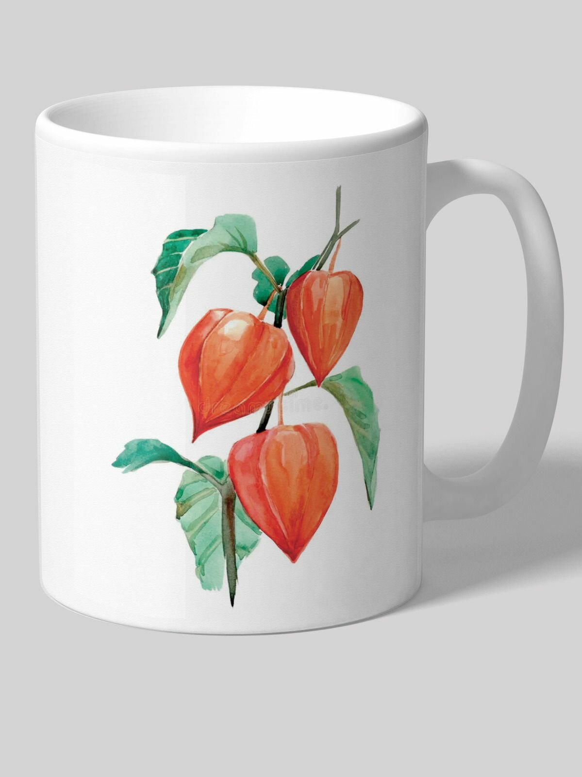 Кружка cooperative.moscow " Физалис цветок " (кружка с Физалисом , Физалис , кружка с цветком, кружка Физалис , с Физалисом , подарок с любовью, кружка с цветами, цветы, цветок) , 330 мл, 1 шт