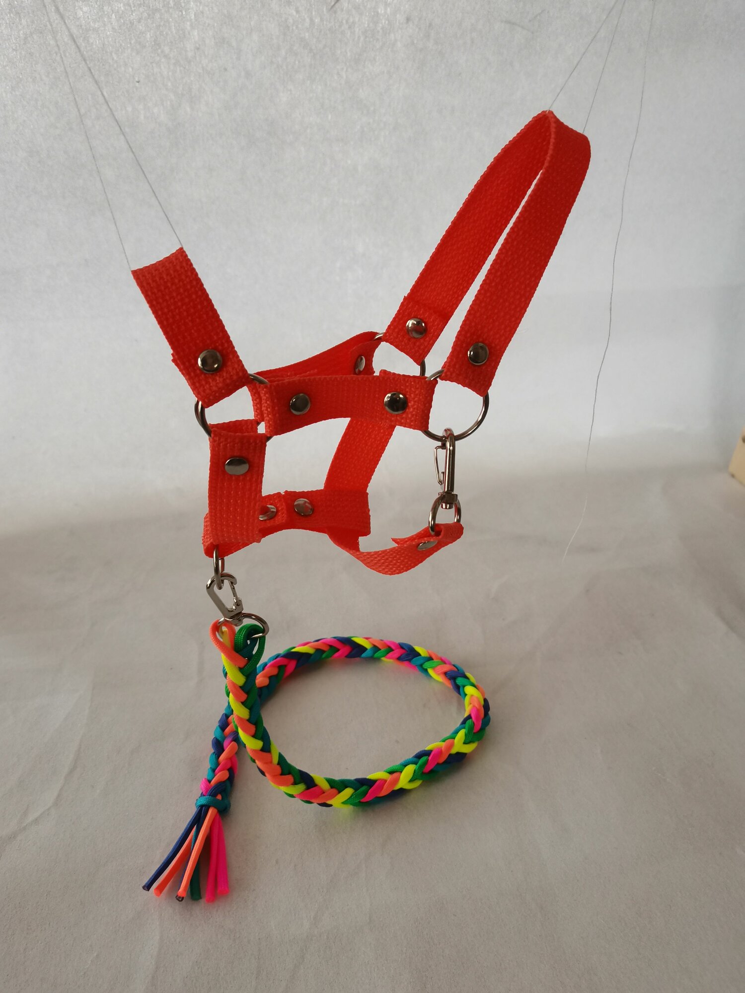 Недоуздок для хоббихорс, с чембуром