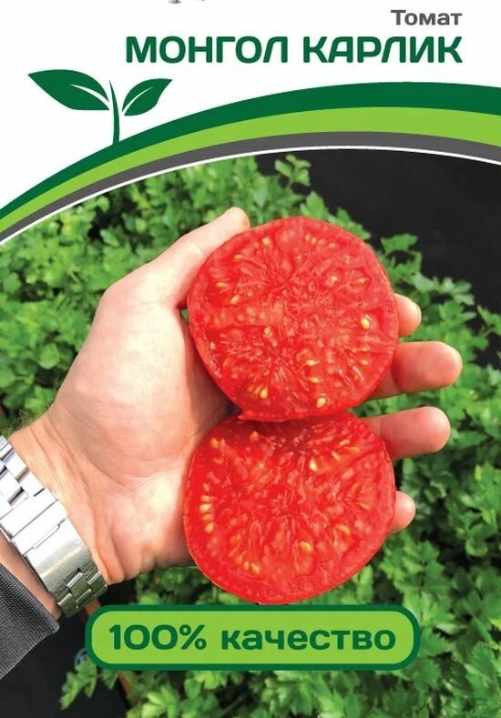 Томат Монгол Карлик