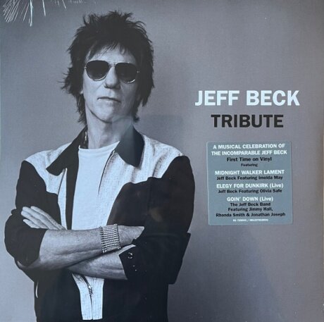 Виниловые пластинки, ATCO Records, JEFF BECK - Tribute (12" single)