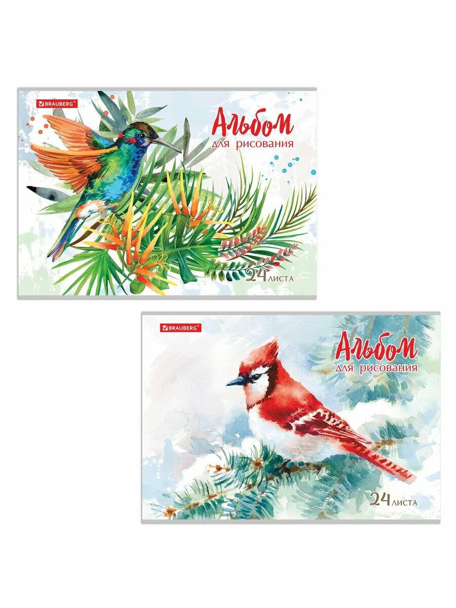 Альбом для рисования 1 шт, А4 24 л, 202х285 мм