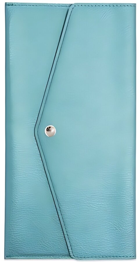 Пенал-органайзер Феникс 227х110 мм "Наппа зеленовато-голубой металлик" блинтовое тиснение, на кнопке для путешествий (48411)