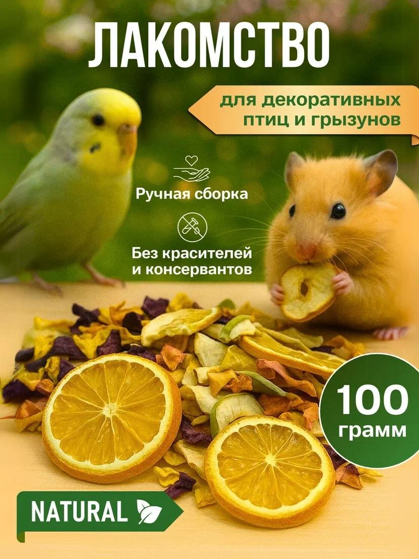 Лакомство для птиц