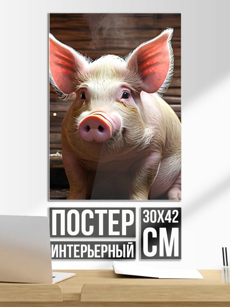 Постер на стену Довольная свинья