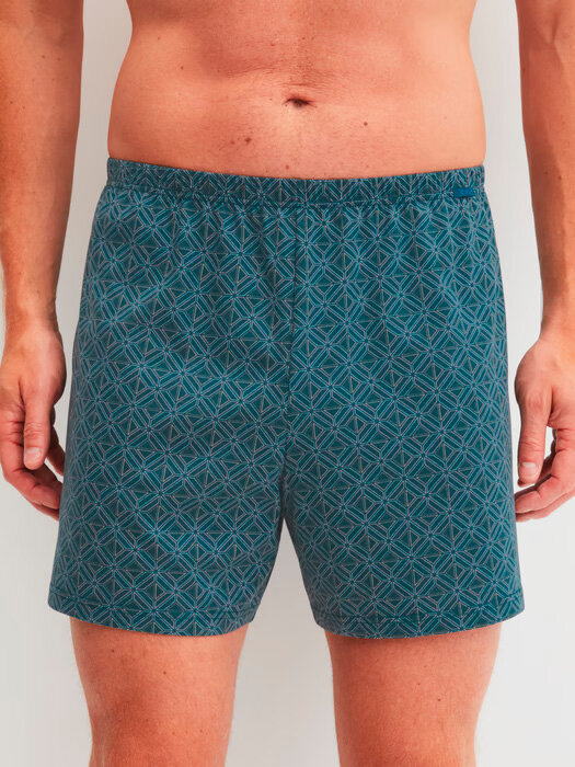 Трусы мужские Calida 24389 Prints