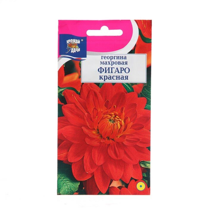 Семена цветов Георгина "Фигаро", Красная, 0,05 г