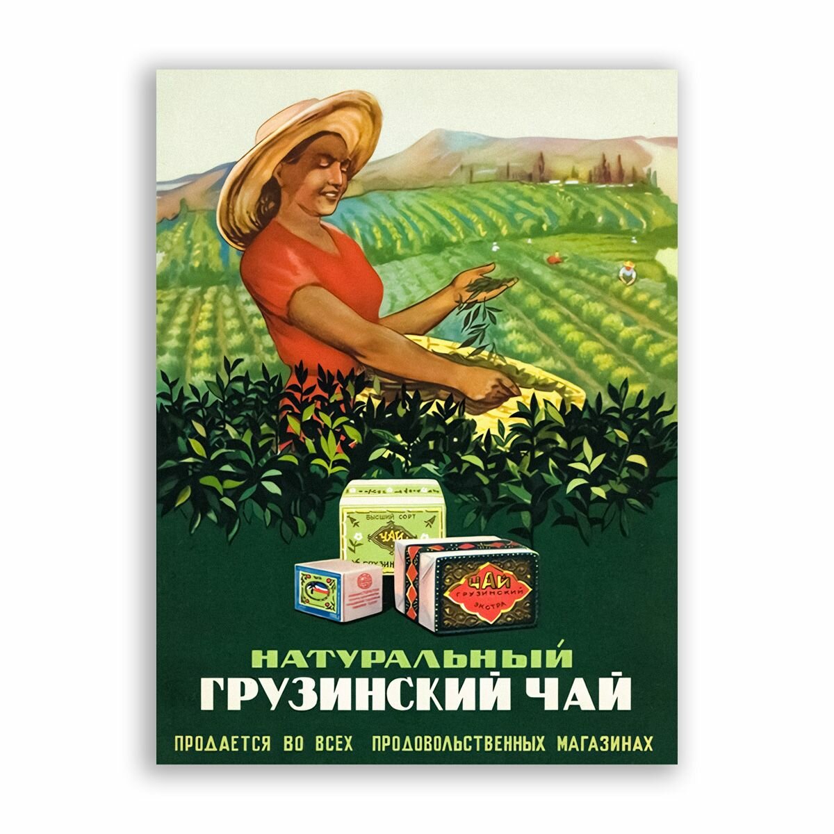 Советский постер, плакат на бумаге / Натуральный грузинский чай / Размер 30 x 40 см