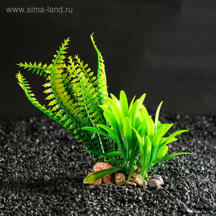 Растение искусственное аквариумное на подставке под камень, 17 х 14 х 16 см, 3184334