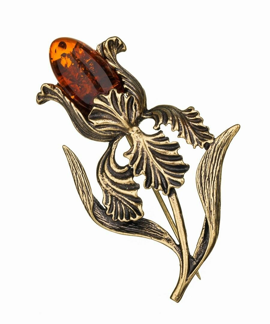 Брошь, янтарь