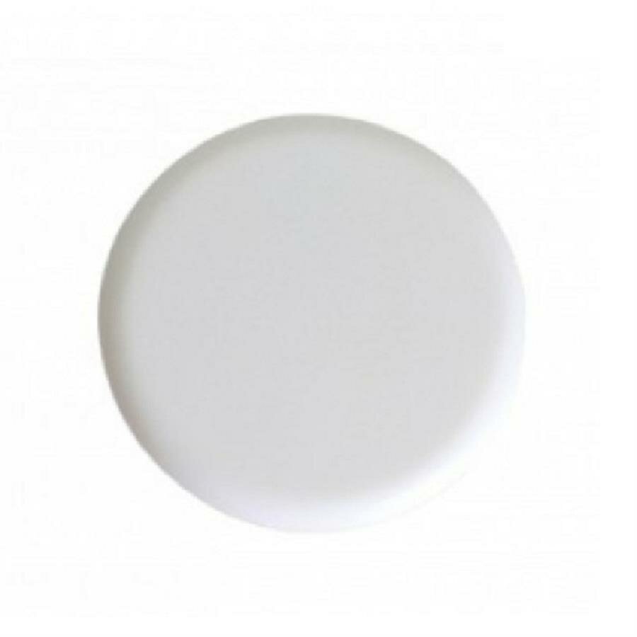 Indesit C00510261 Заглушка в ручку холодильника Indesit, Ariston