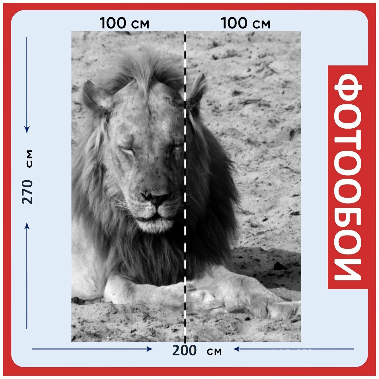 Фотообои "Лев, король, спать" 200x270 см. флизелиновыена стену