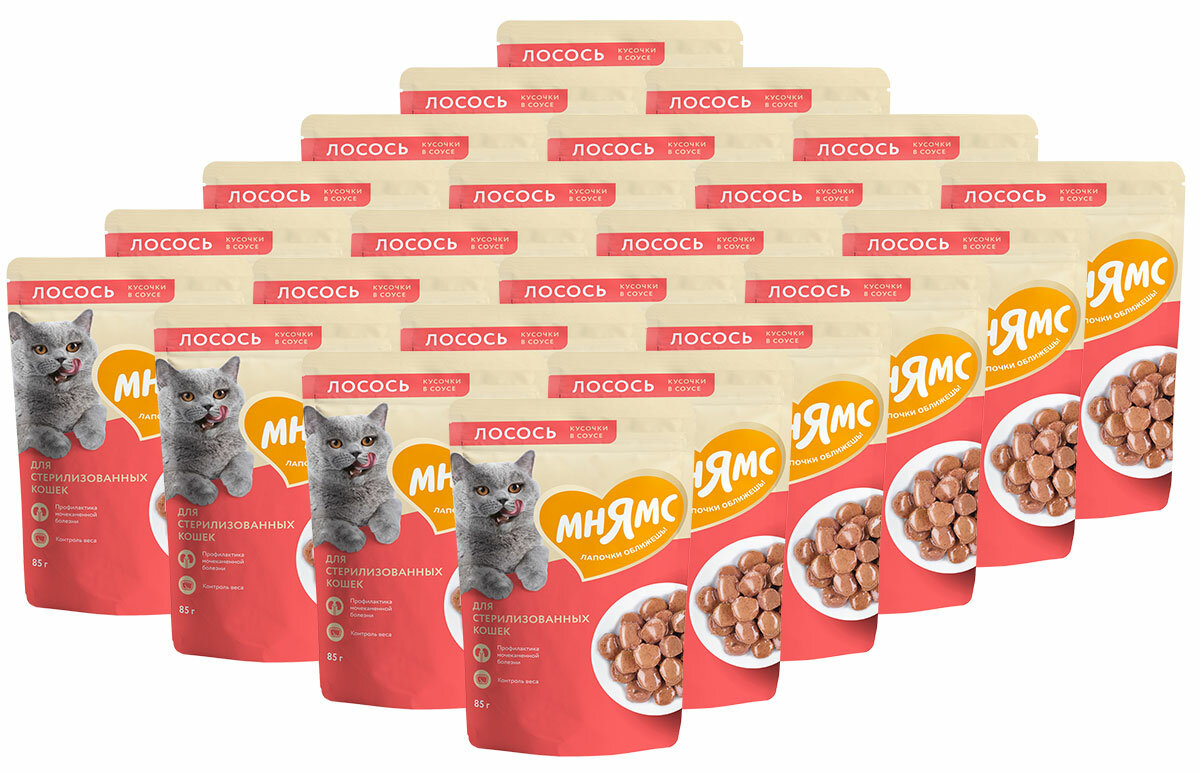 Мнямс для взрослых кастрированных котов и стерилизованных кошек с лососем в соусе пауч 85 гр 85 гр х 24 шт