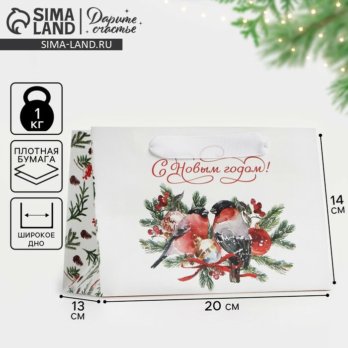 Пакет подарочный новогодний с широким дном С Новым годом, 20×14×13 см, 2 шт.