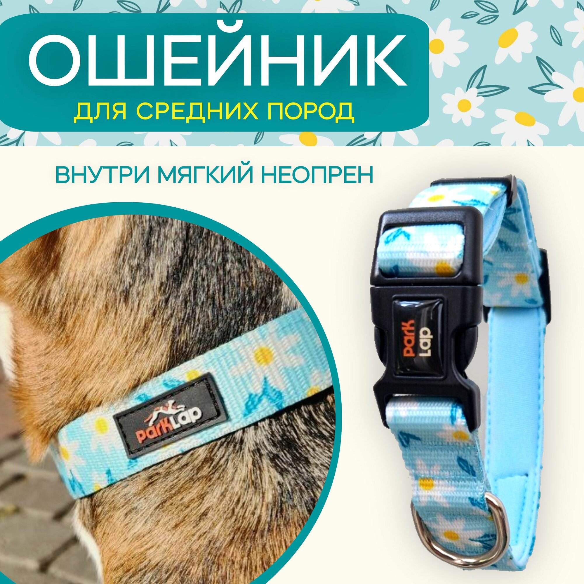 Ошейник с подкладом из неопрена, Ромашки, M, для средних пород собак