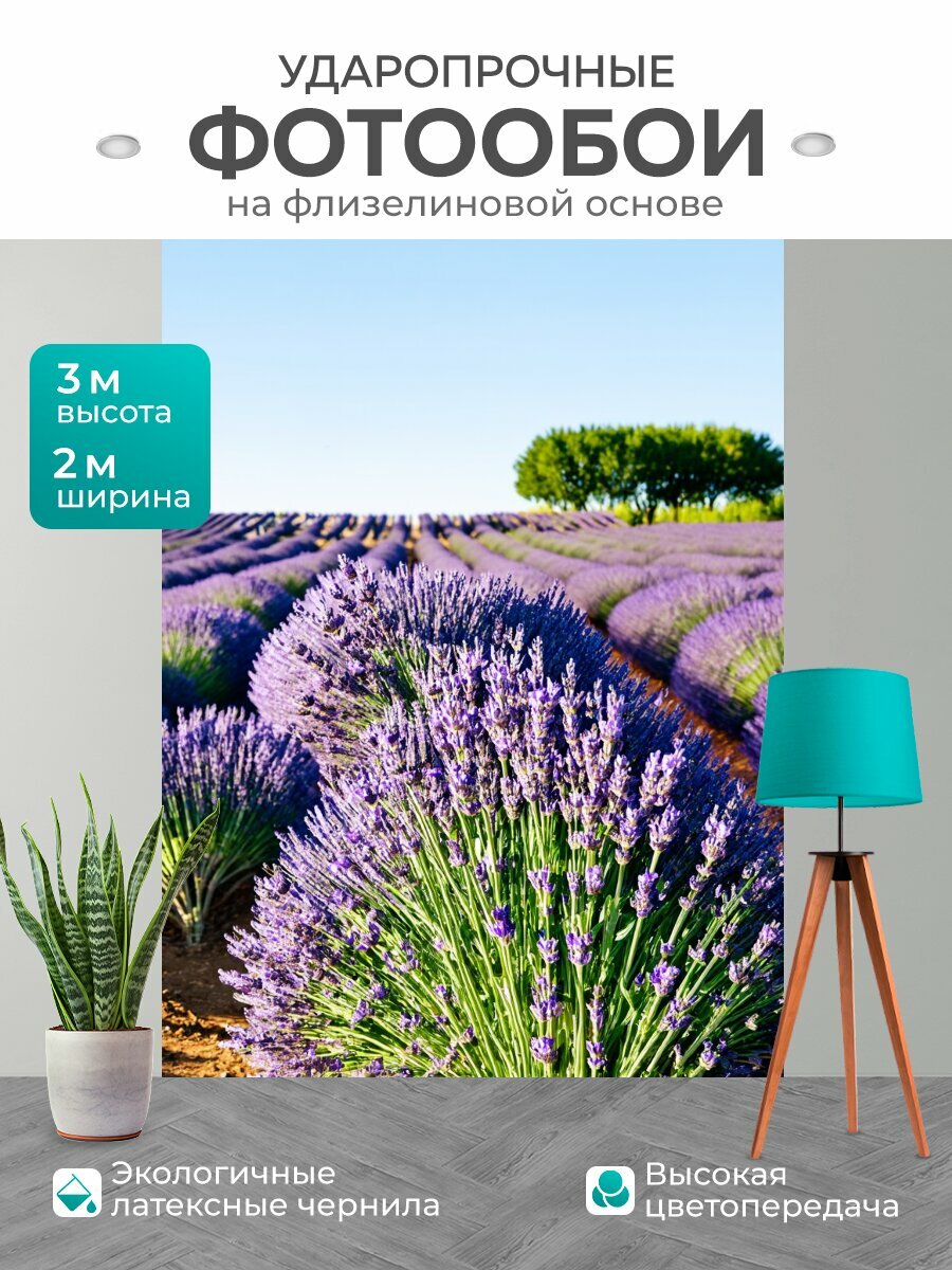 Фотообои моющиеся ударопрочные на кухню "В стиле прованс с лавандовыми полями" 200x300 см. флизелиновые на стену