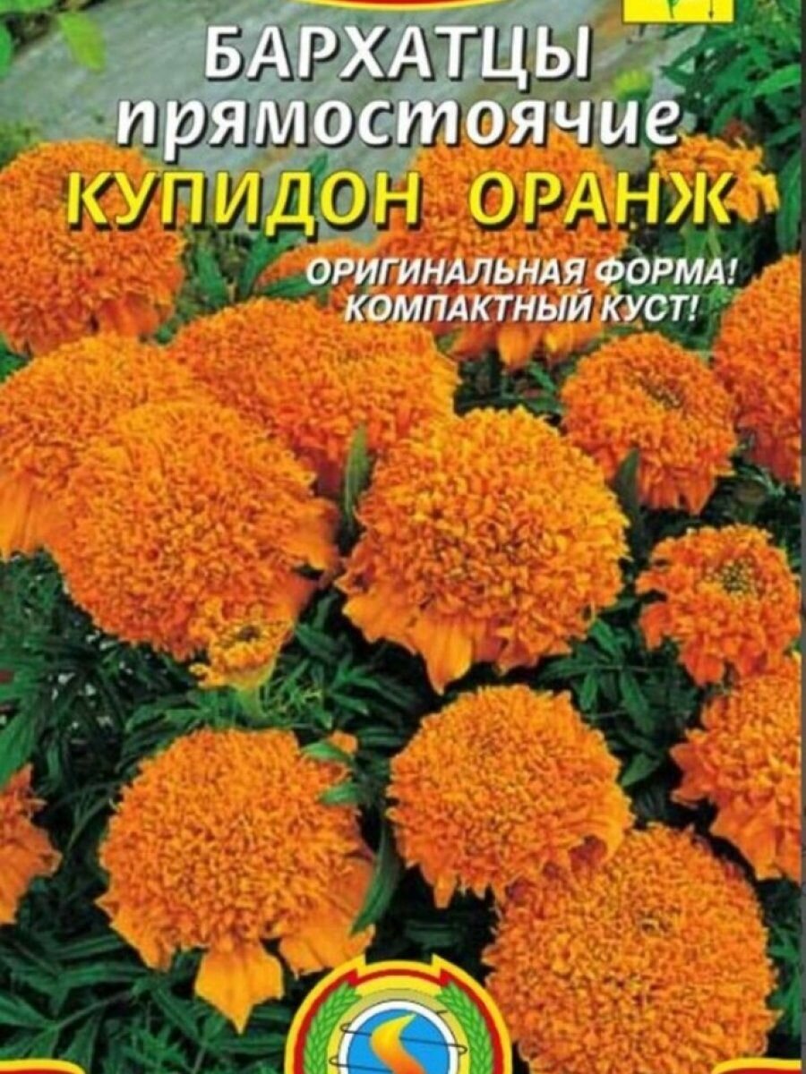 Бархатцы Купидон Оранж прямостоячие 20 шт, Плазменные семена