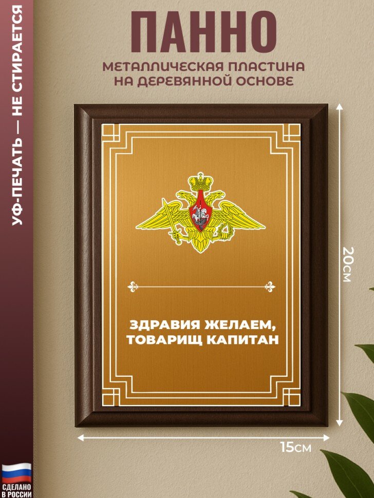 Настенный диплом "Здравия желаем, товарищ капитан" ВС РФ
