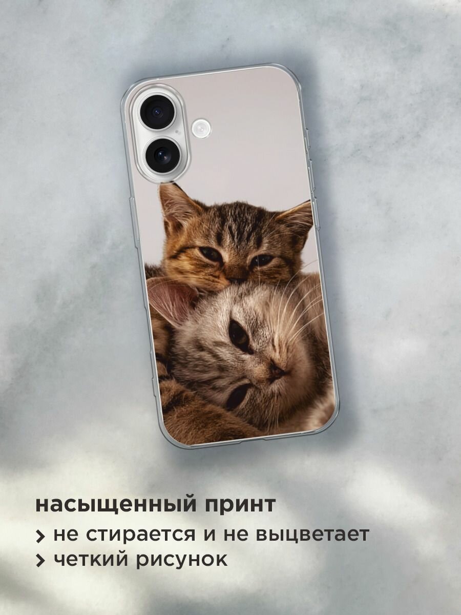 Чехол на Apple iPhone 17 / Айфон 17 с принтом "Нежные котята - 14 февраля" — фото 1