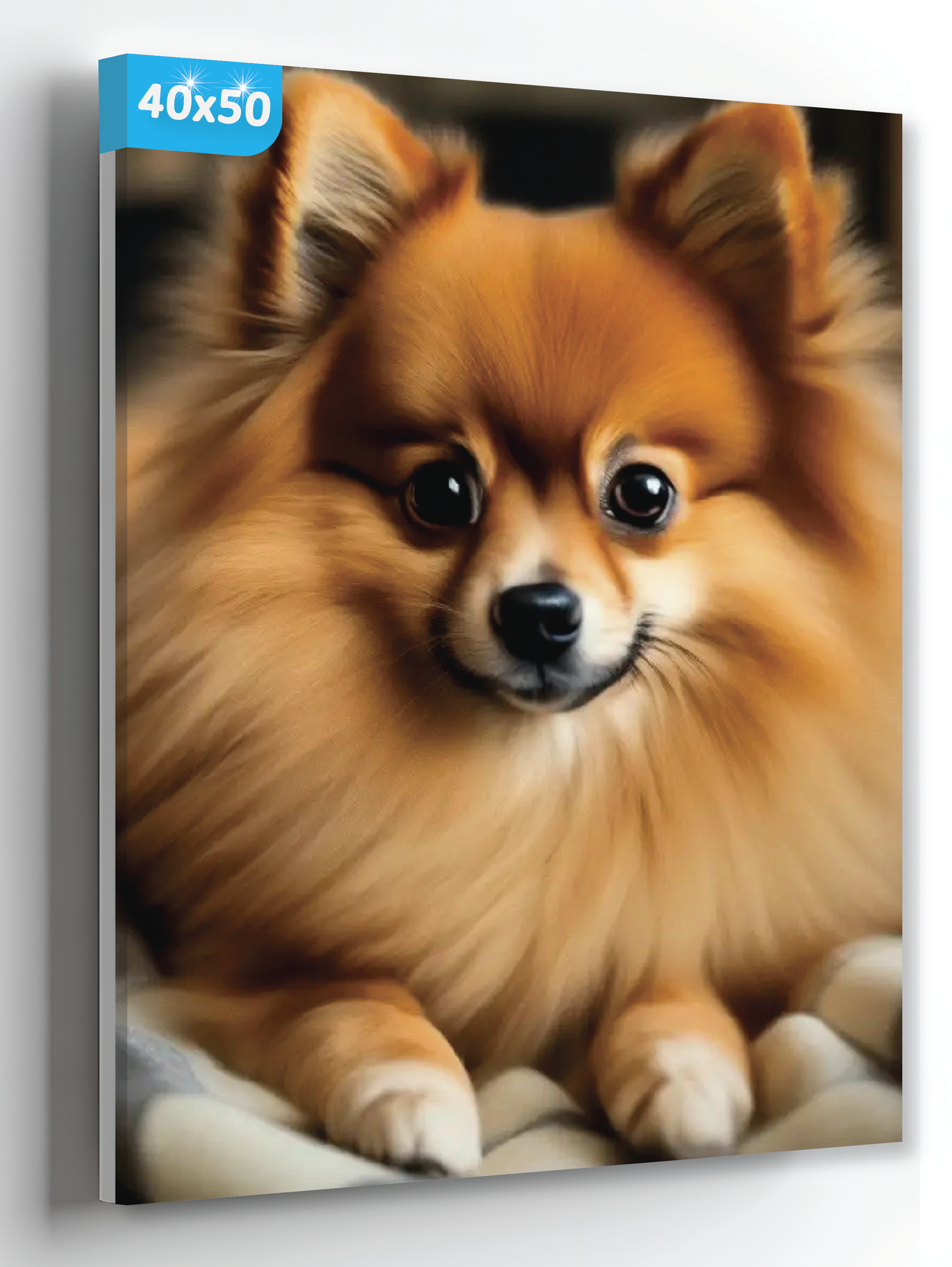 Алмазная мозаика на подрамнике "Шпиц" 40х50 Полная выкладка