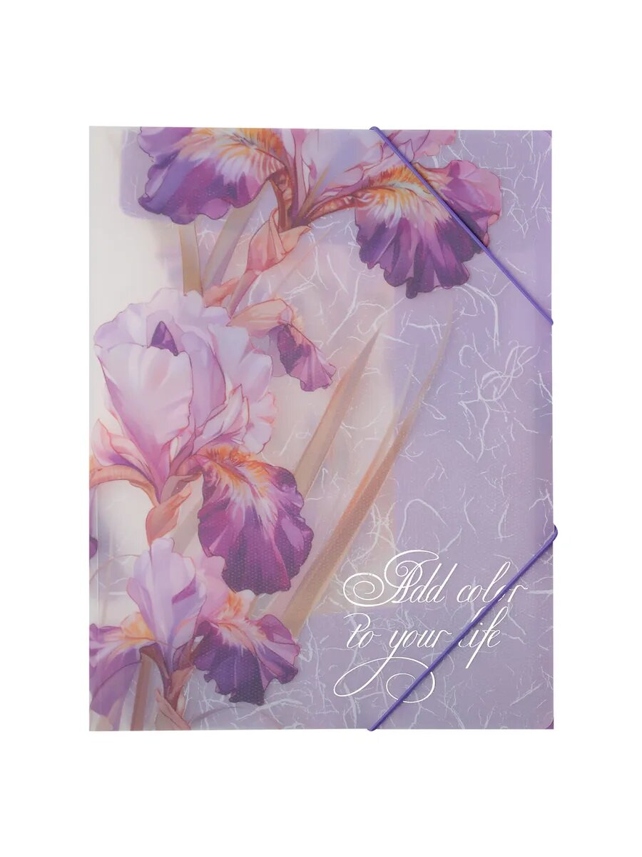 Папка на резинке А4