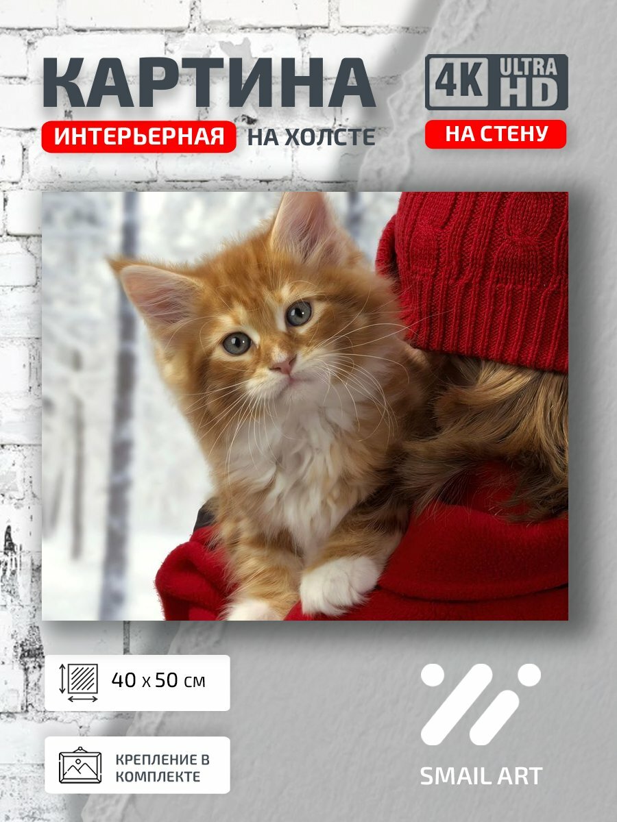 Картина на холсте интерьерная 40 на 50 на стену Кот Landscape для кафе пейзаж интерьер