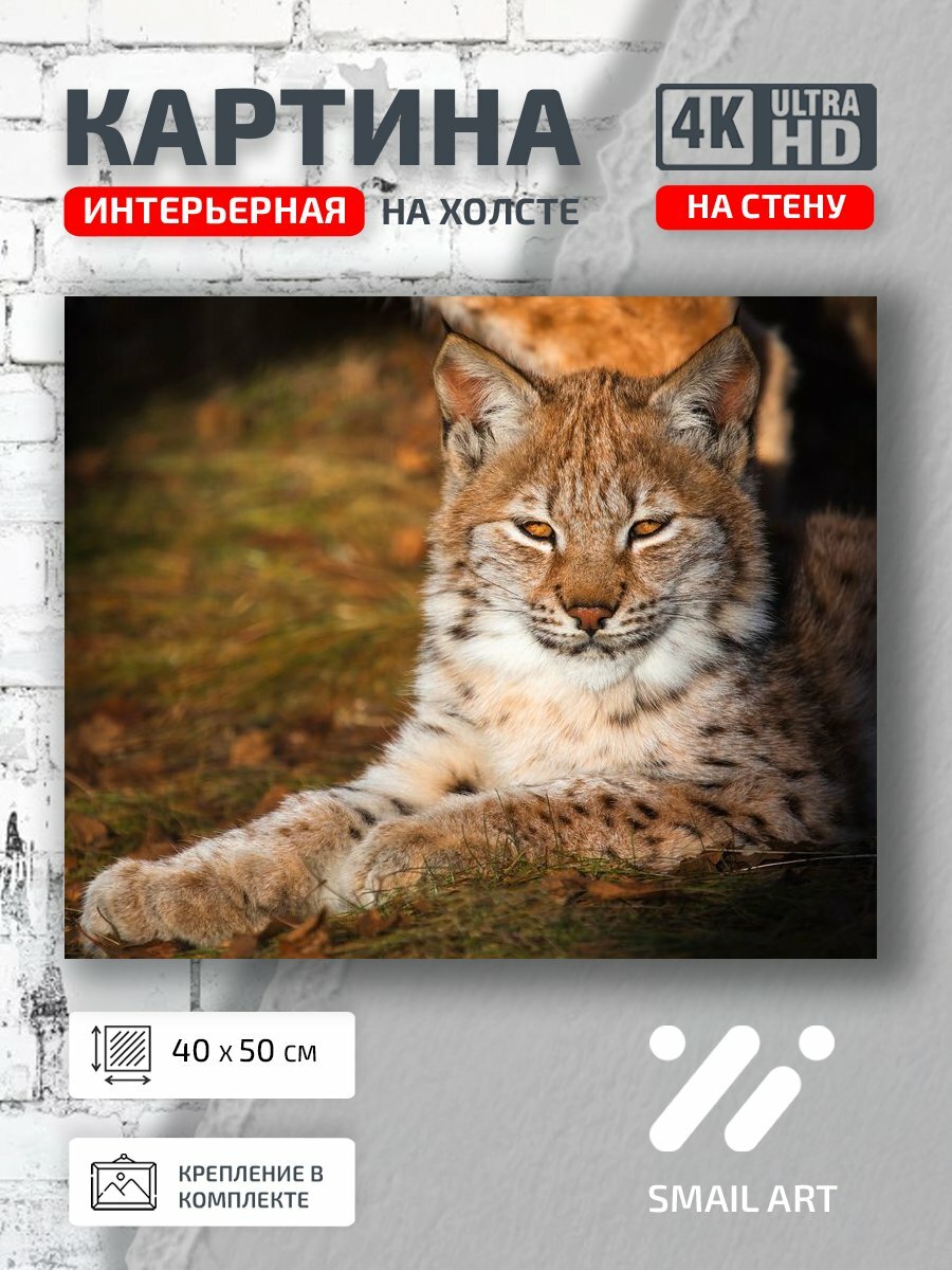 Картина на холсте интерьерная 40 на 50 на стену Шерсть Animal для спальни animal style