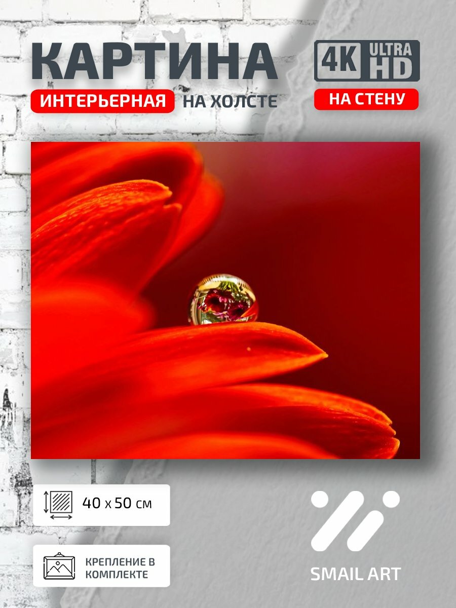 Картина на холсте интерьерная 40 на 50 на стену Капля Macro для офиса макро интерьер декор