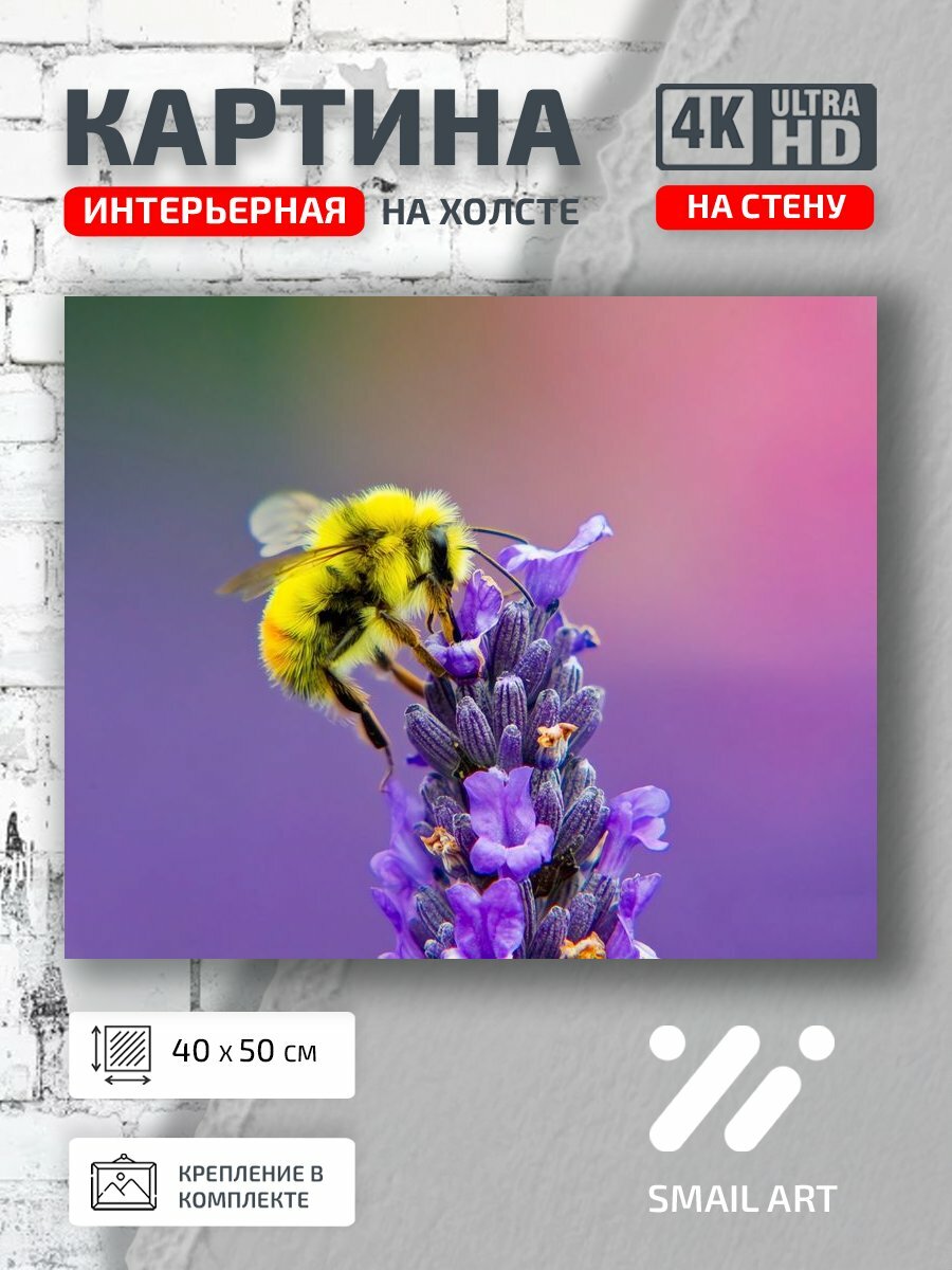 Картина на холсте интерьерная 40 на 50 на стену Синий Macro для офиса макро интерьер декор