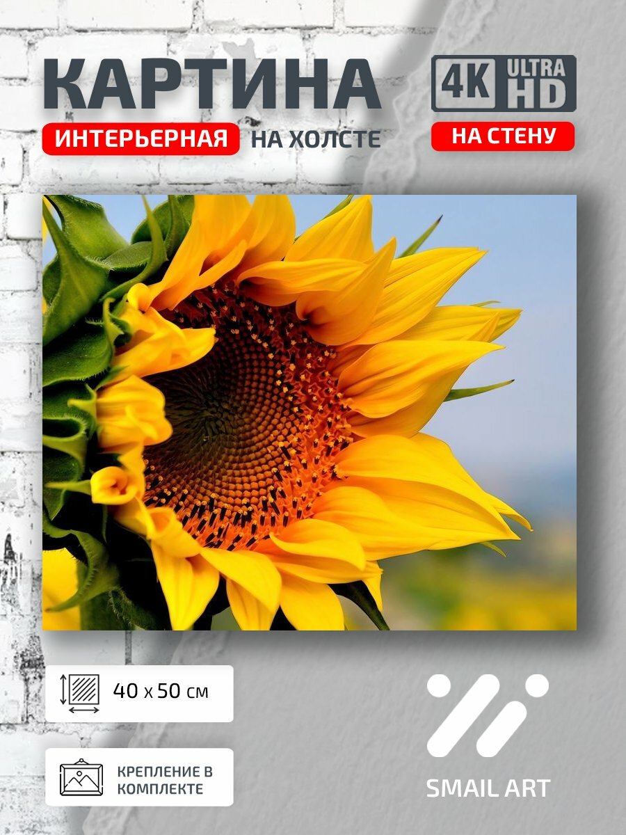 Картина на холсте интерьерная 40 на 50 на стену Подсолнечник sunflower для офиса пейзаж